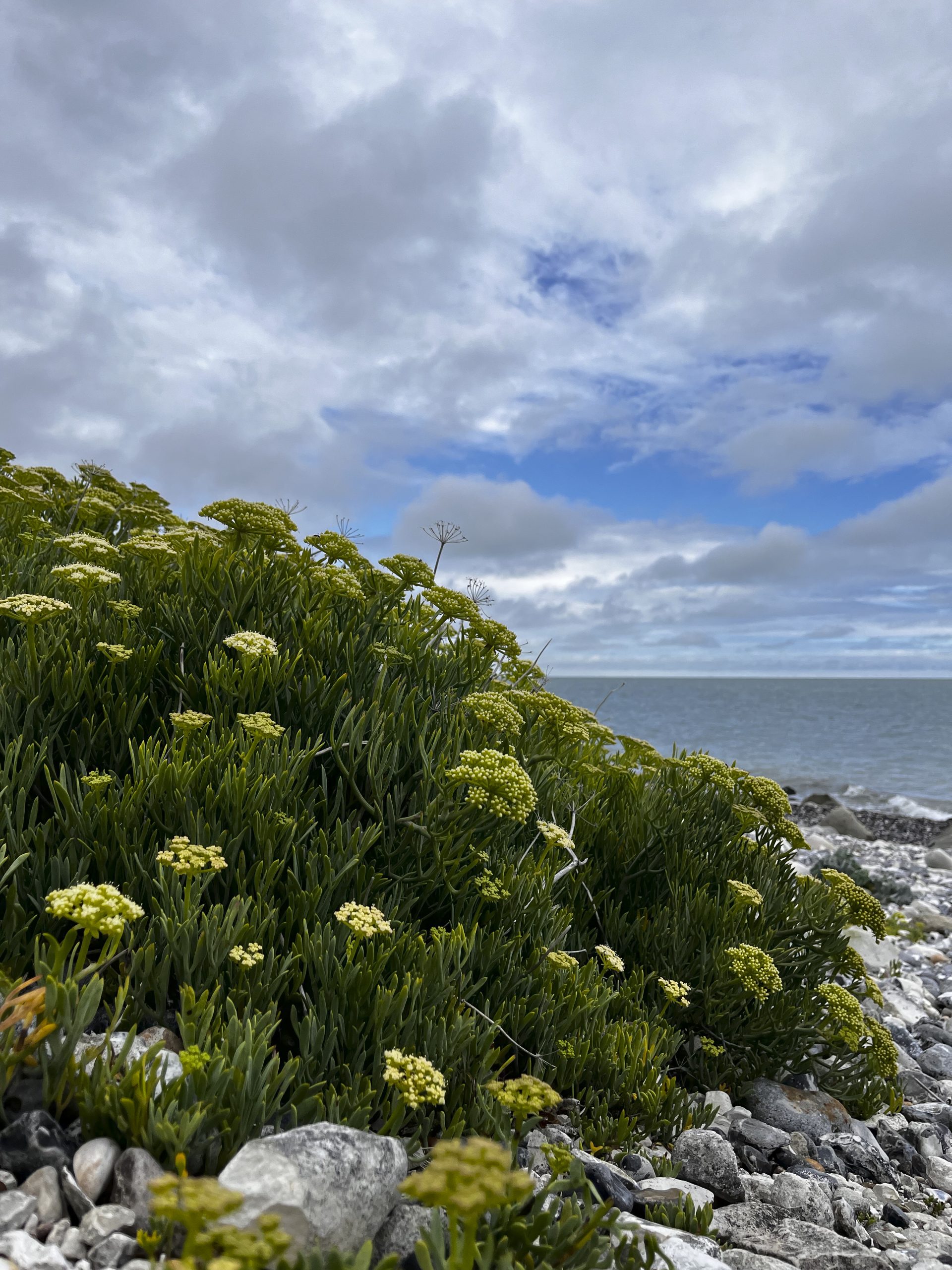 Jason Salmon | Eastbourne Photographic Society