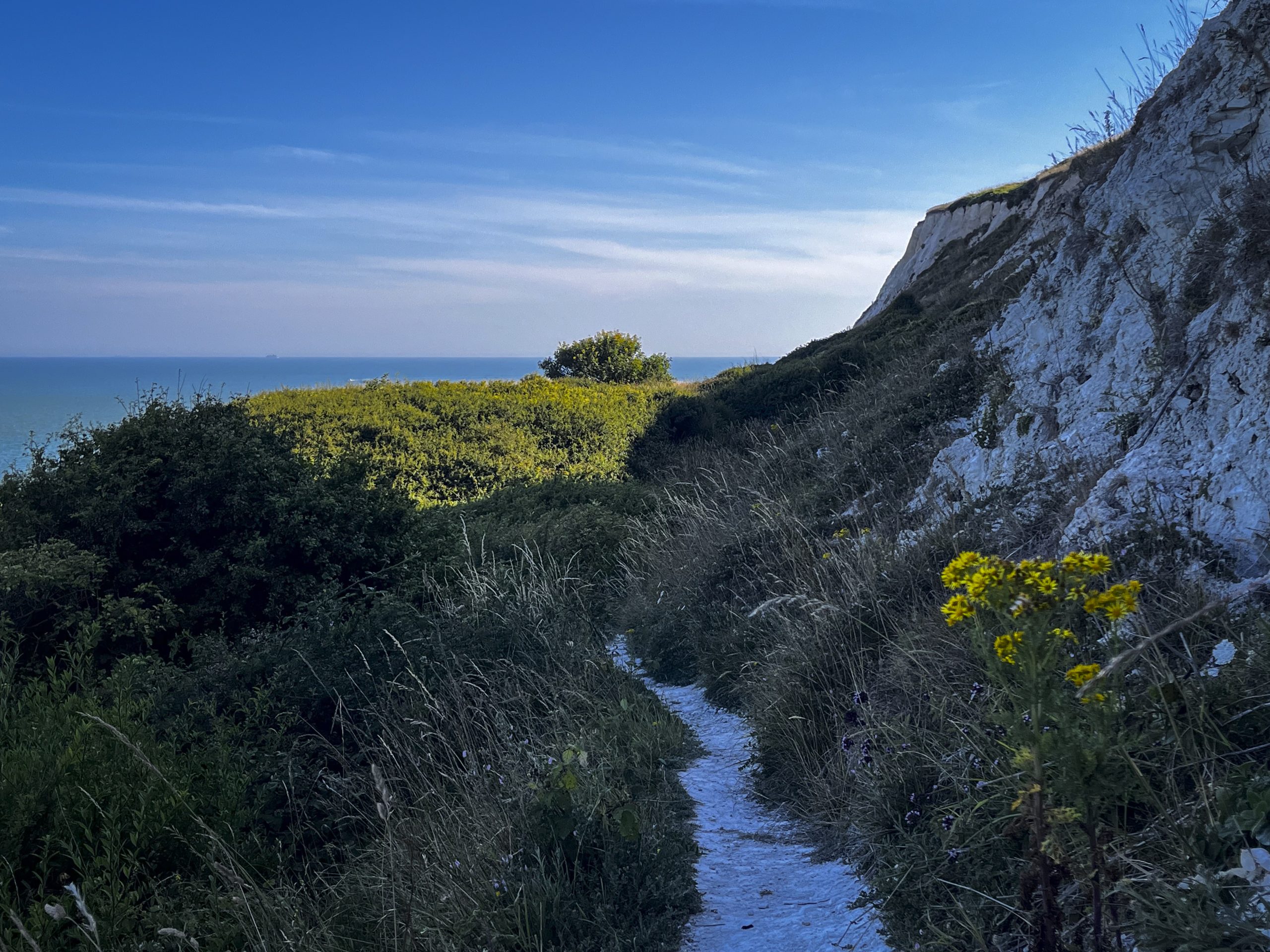 Jason Salmon | Eastbourne Photographic Society